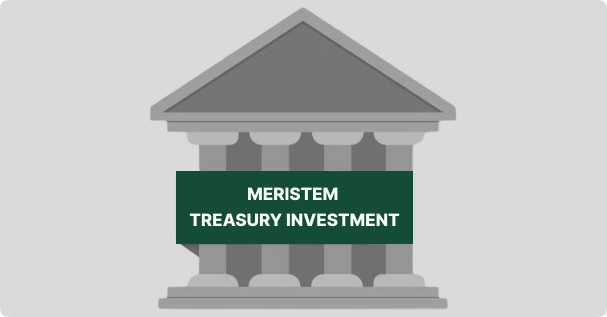 Meristem Nigeria - Wealth Management & Investment Solutions